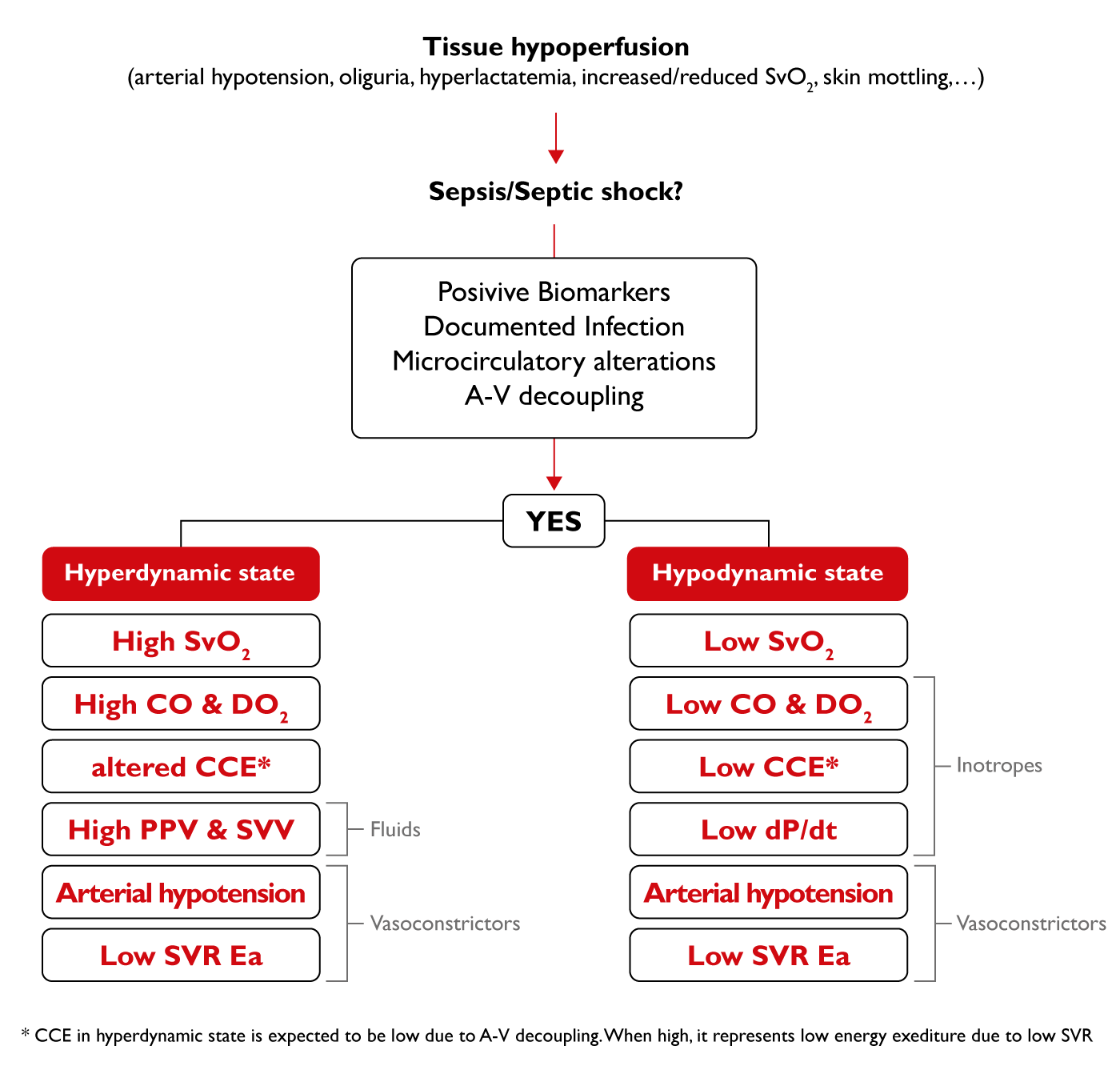 Sepsis – Hemodynamic Management / Vygon
