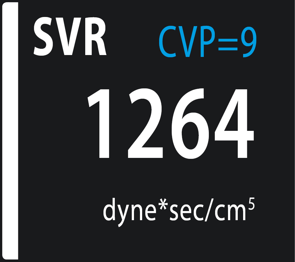 Standard hemodynamic variables – Hemodynamic Management / Vygon