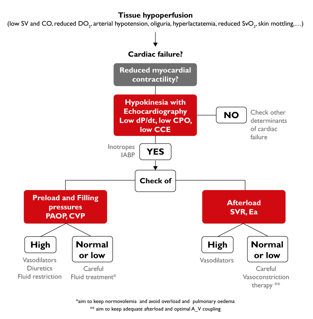 Cardiac failure – Hemodynamic Management / Vygon